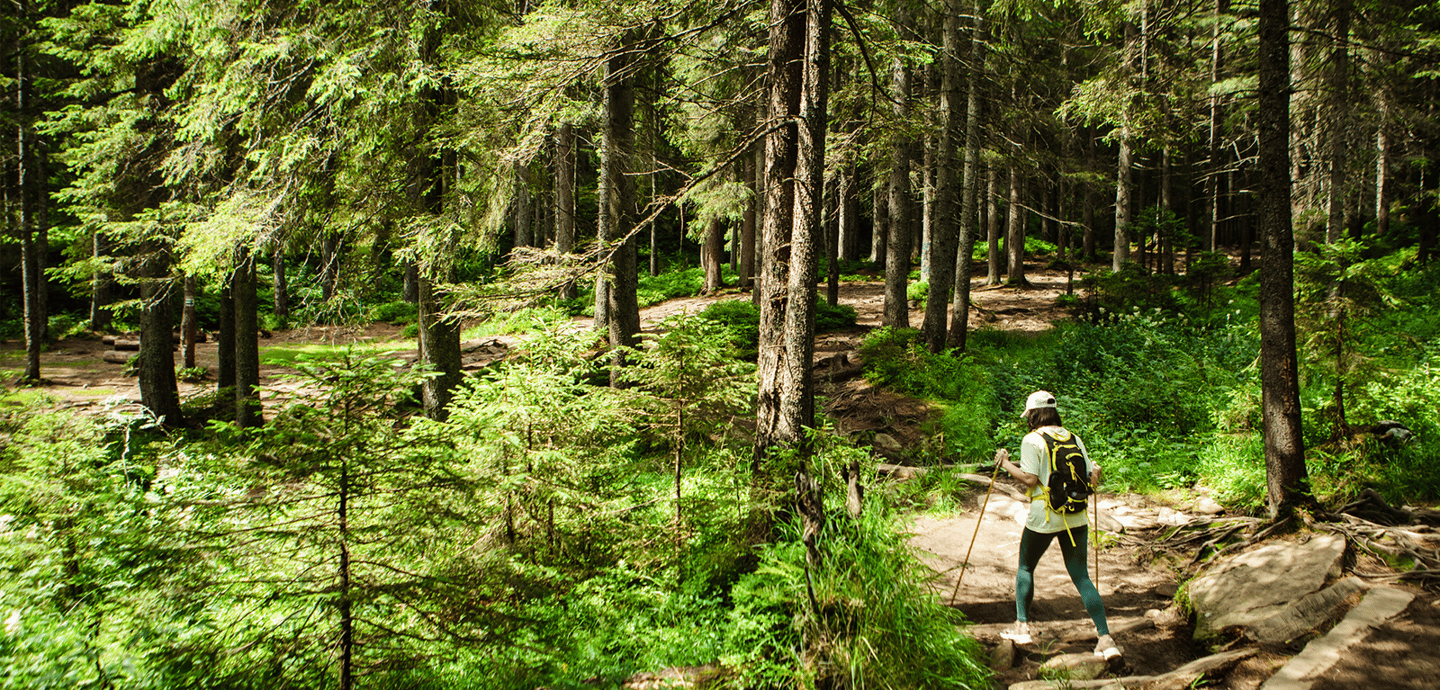 Return on experience: why ROX is the key to customer loyalty and growth